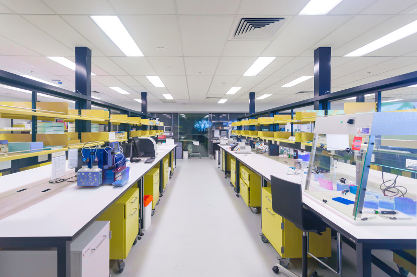 Luciferase cells, Cas9 expressing cell lines, OVA cells|Vitro Biotech
