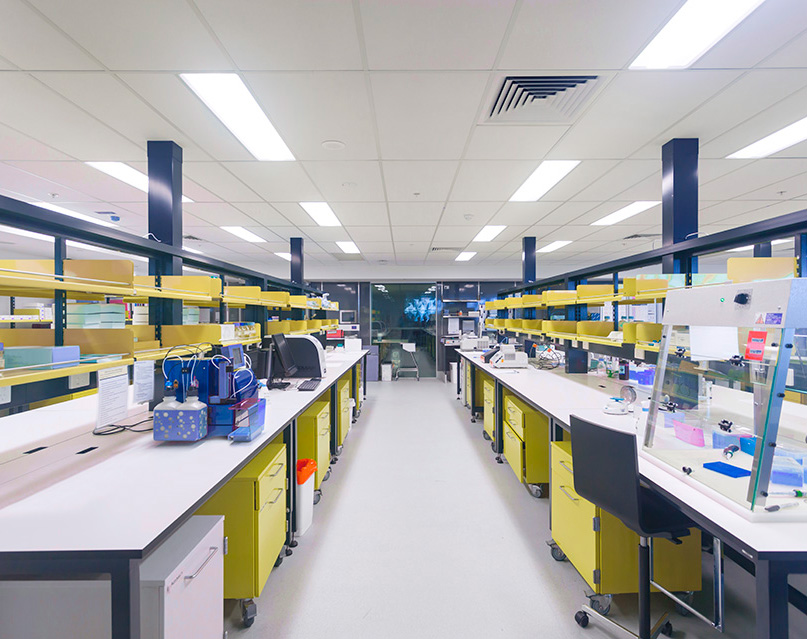 Gene editing company|gene editing services|crispr knockout-Vitro Biotech