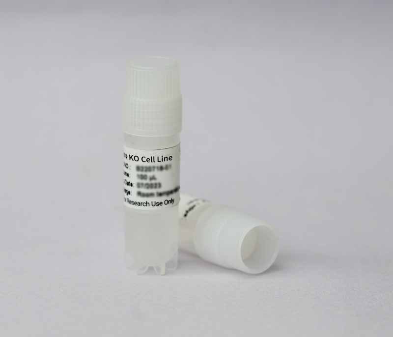 KO cell line|CRISPR Cas9 knockout-Vitro Biotech