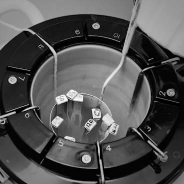 KO cells, Luciferase cells, Cas9 expressing cell lines |Vitro Biotech