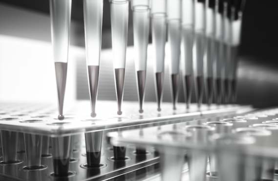 KO cells, Luciferase cells, Cas9 expressing cell lines |Vitro Biotech