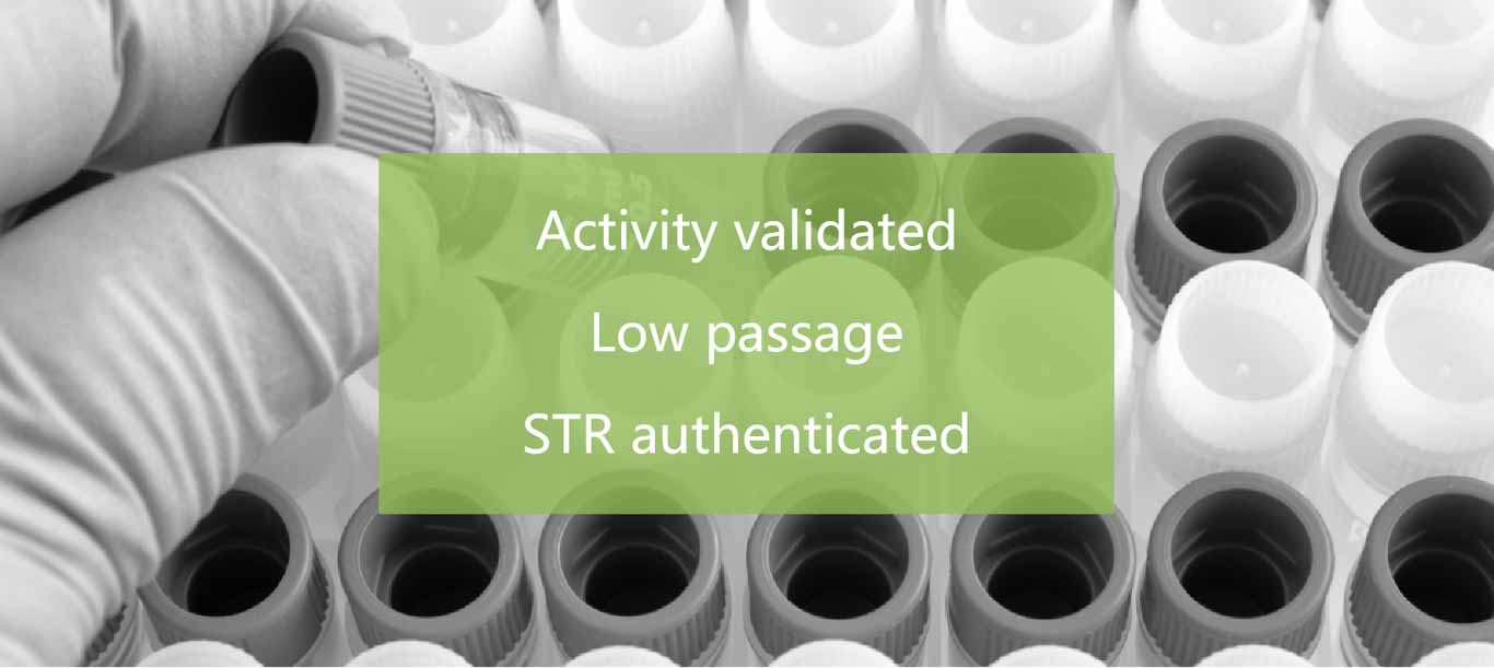 Cell lines-Vitro Biotech