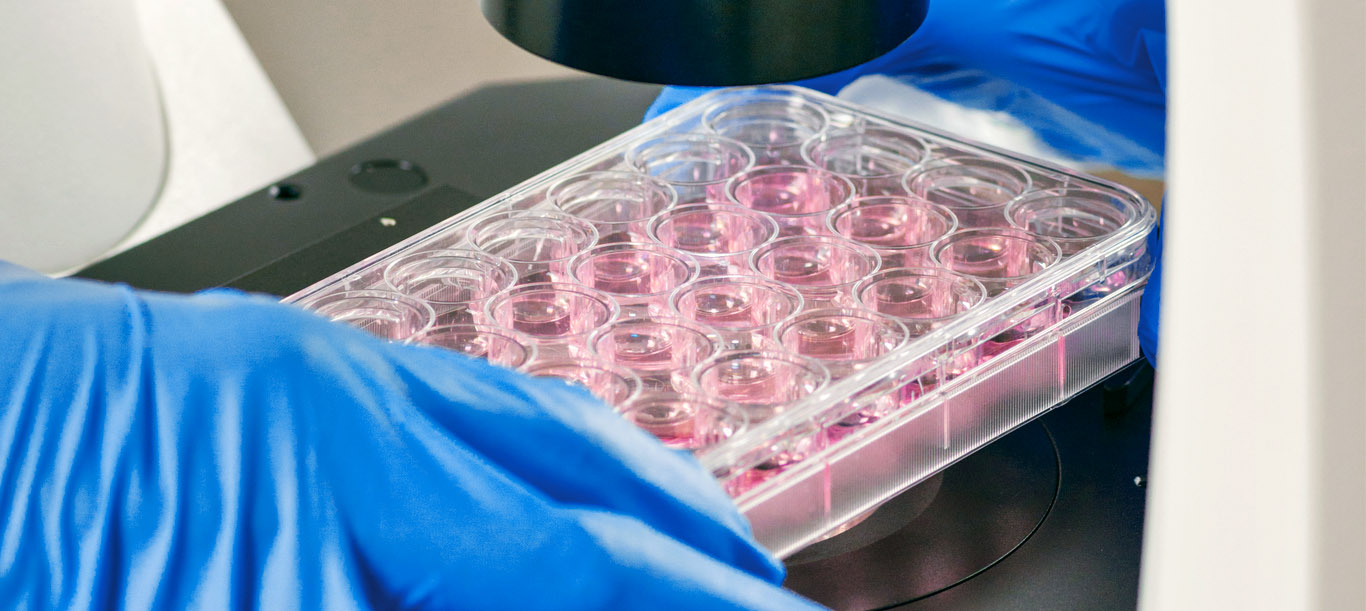 Fluorescent Cell Lines-Vitro Biotech