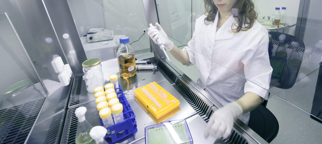 OVA Cell Lines-Vitro Biotech