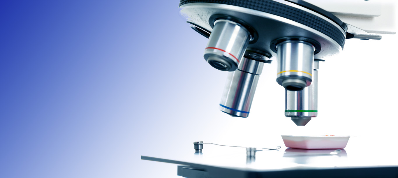 Luciferase-EGFP Cell Line-Vitro Biotech