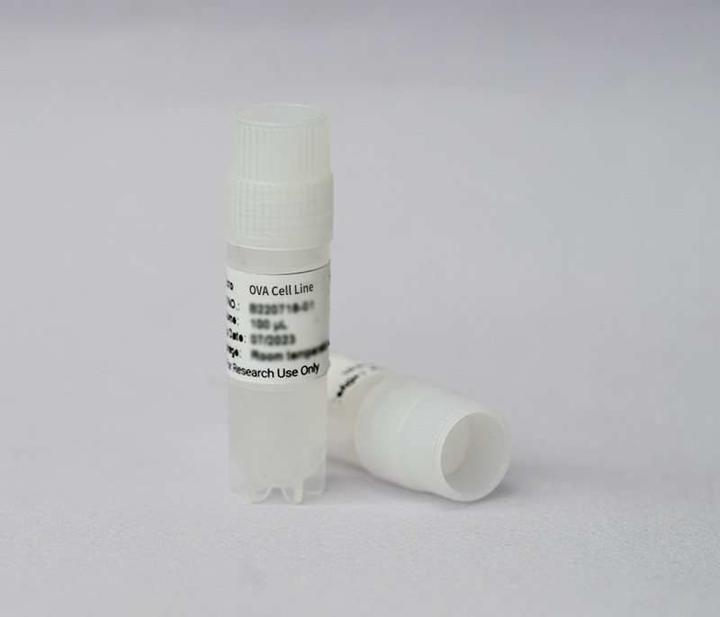 Cell lines-Vitro Biotech