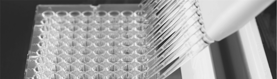 KO Cell Line Generation_KO cells | Luciferase cells | Cas9 expressing ...