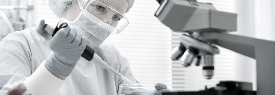 shRNA Knockdown Stable Cell Line_Vitro Biotech