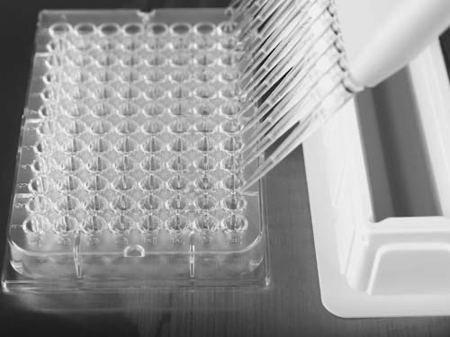 blog-Vitro Biotech | Cell lines | CRISPR