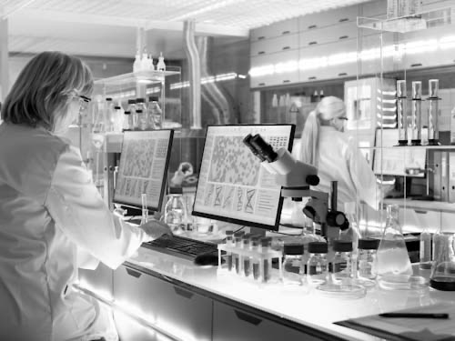 blog-Vitro Biotech | Cell lines | CRISPR