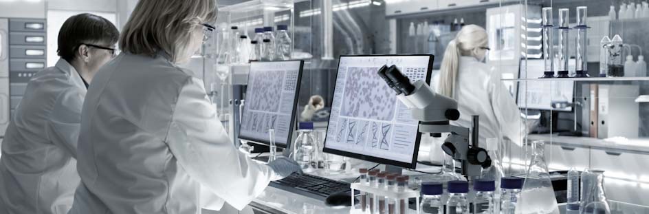 Everything You Need To Know About CRISPR gRNA Library Screening_Vitro ...