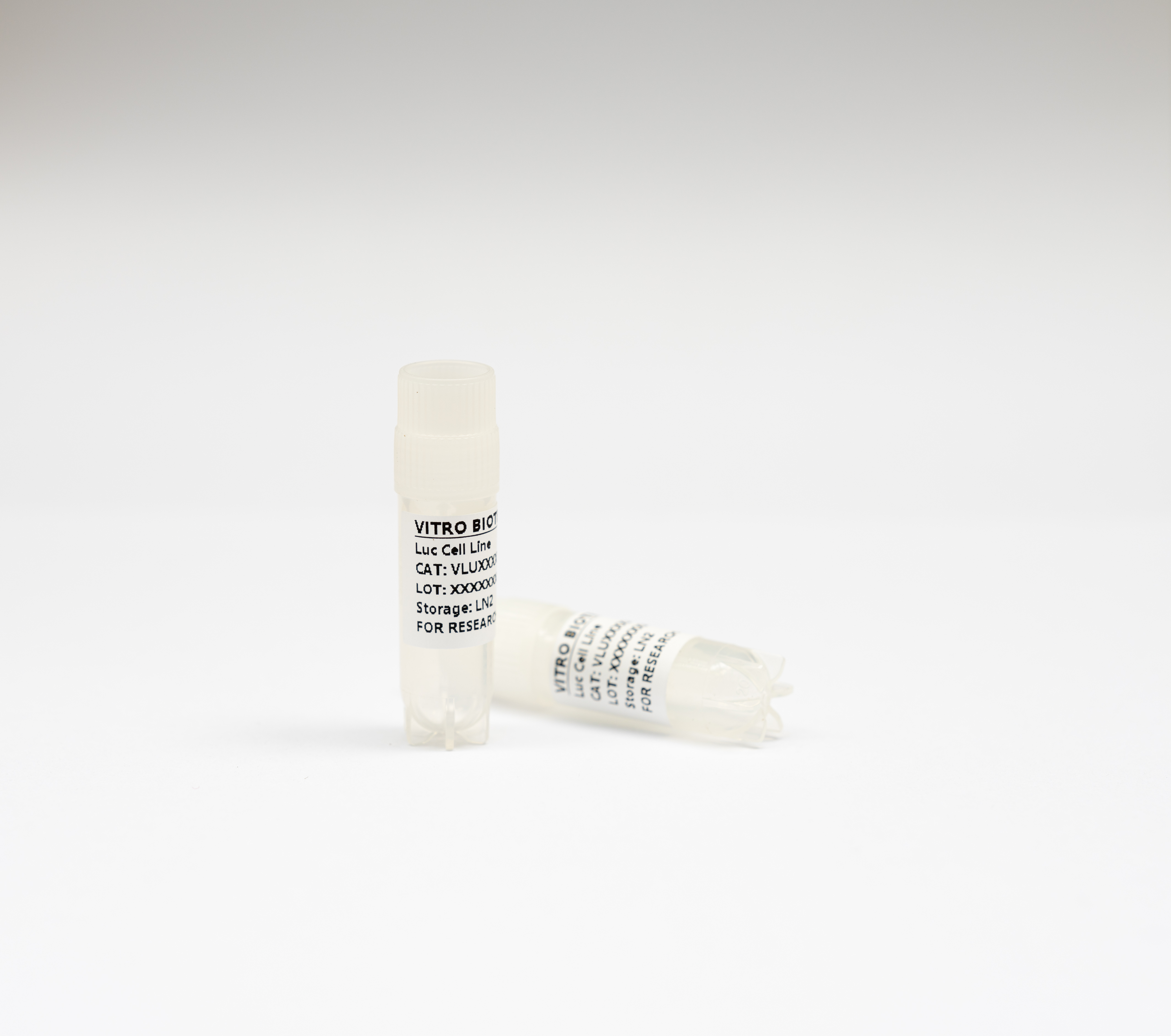 SW780-Luc_Vitro Biotech